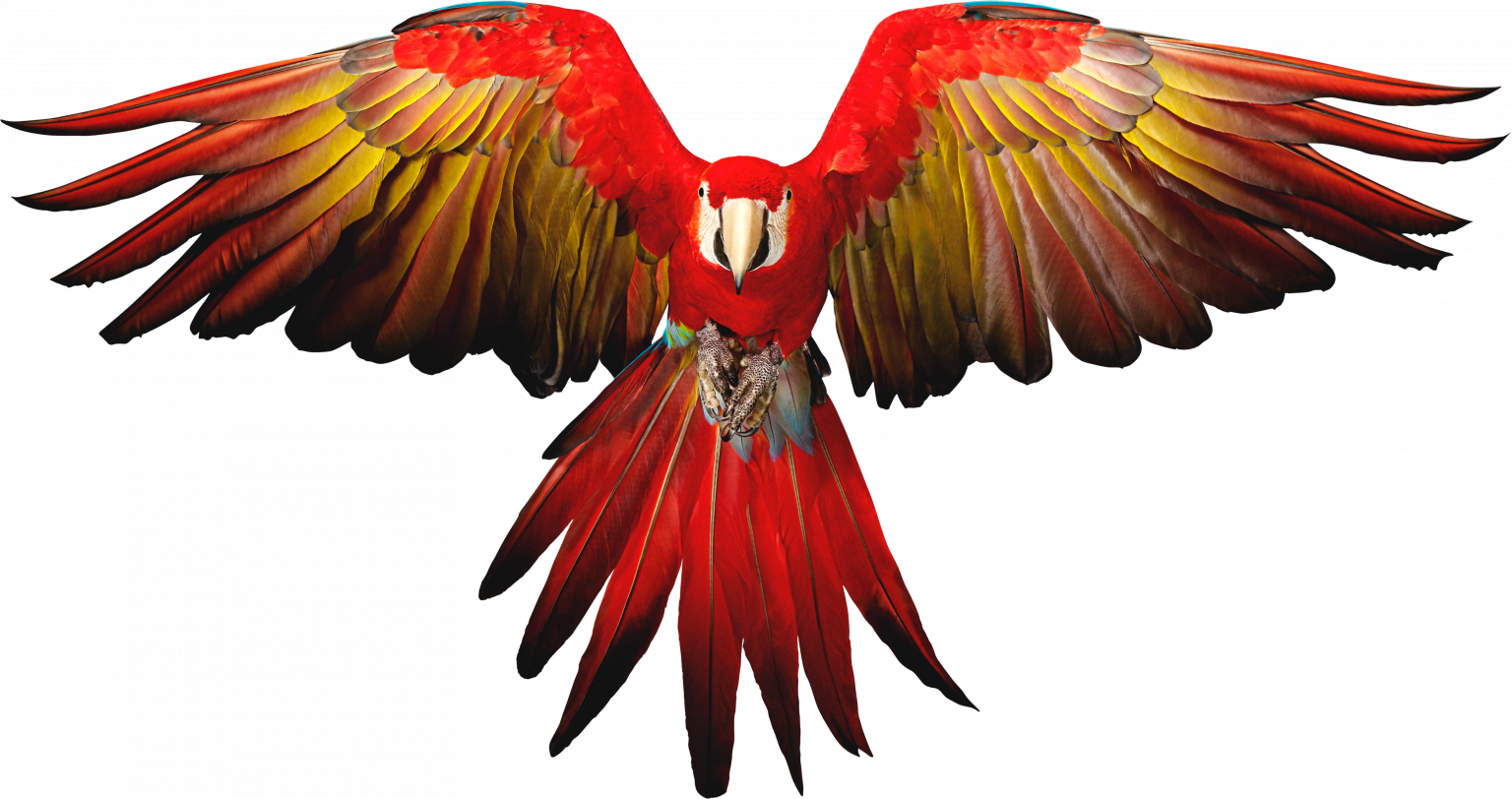 Home [www.absap.com]